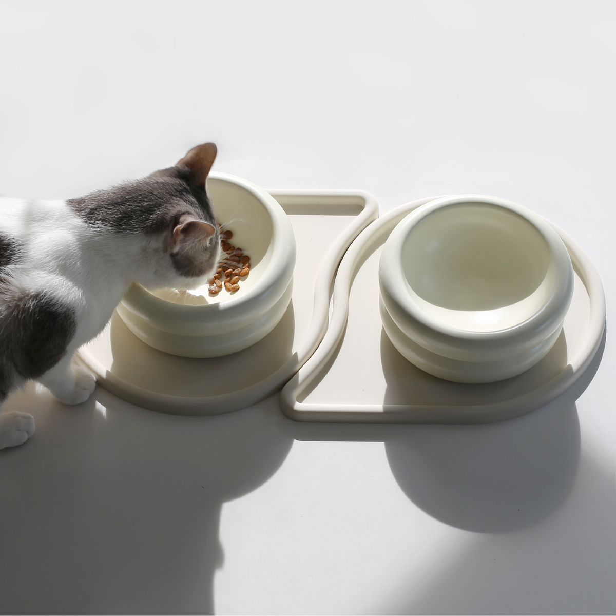 Cat Bowl Building: A Nutritious Revolution for Cats – Catenary Home