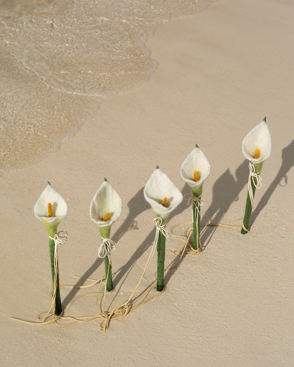 How to Enjoy Your Flora Cat Wand: Play, Display, and Safety Tips ...