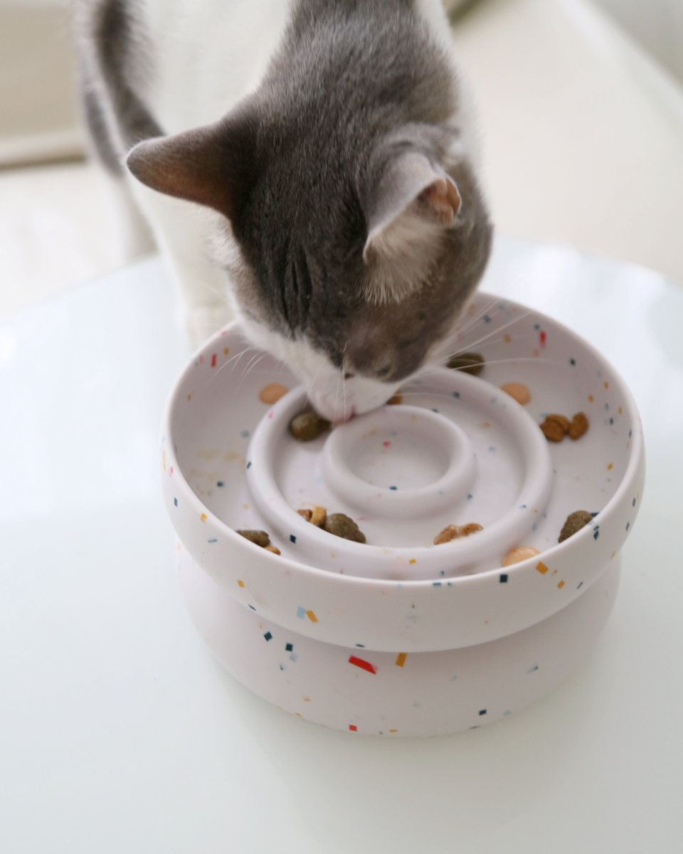 How a Slow Eating Cat Bowl Can Improve Your Cat’s Health – Catenary Home