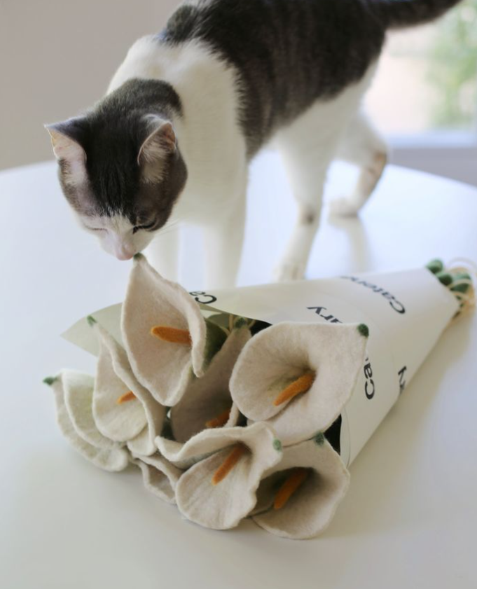 The Ultimate Gift Guide for Cat Lovers: Thoughtful & Unique Presents f ...