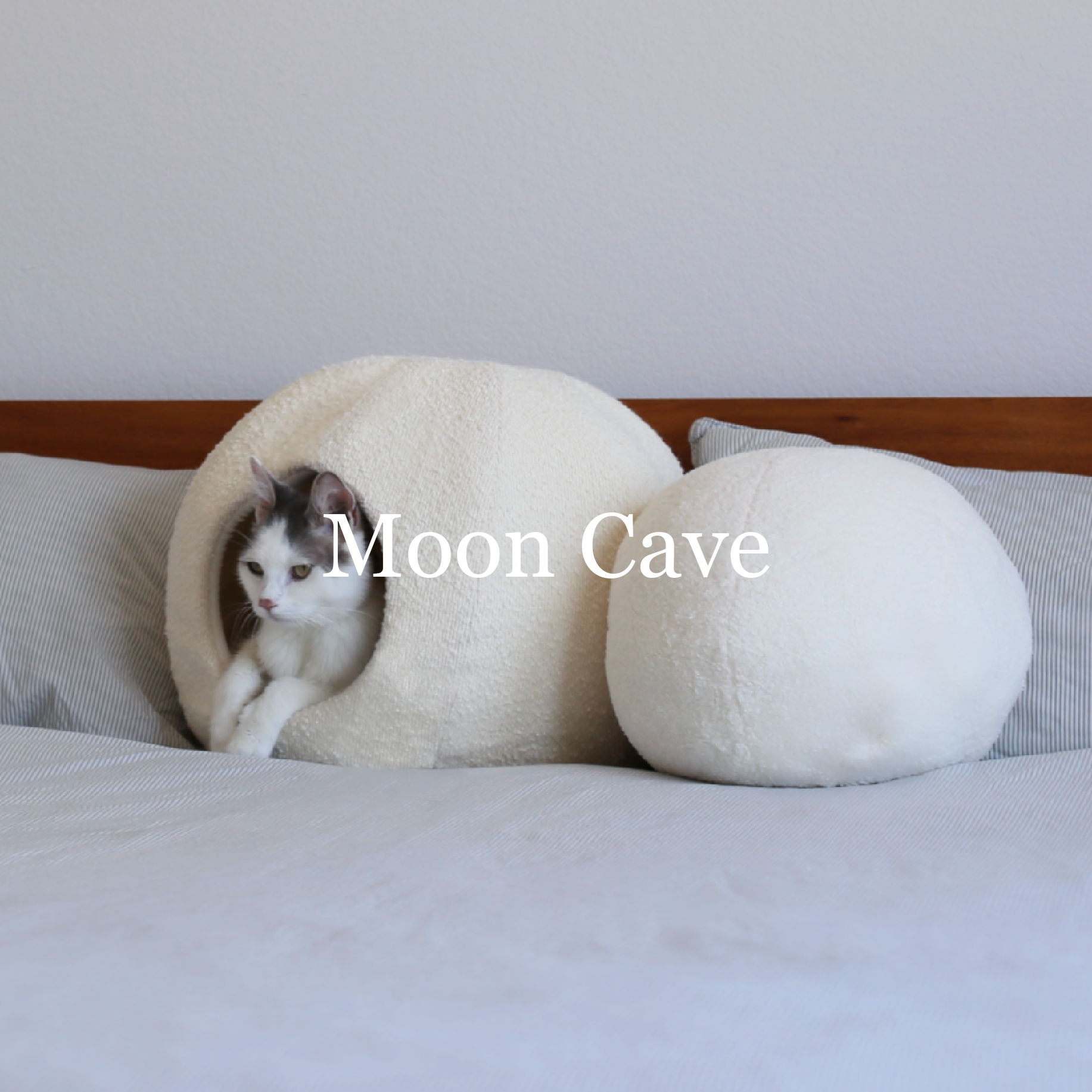 Moon | Modern Cat Cave Collection by Catenary – Catenary Home