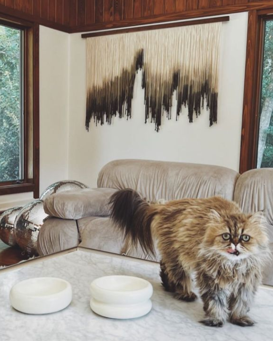 Halo | Modern Elevated Cat Bowls by Catenary – Catenary Home